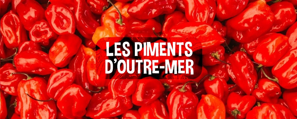 LES PIMENTS D'OUTRE-MER – MASTARI